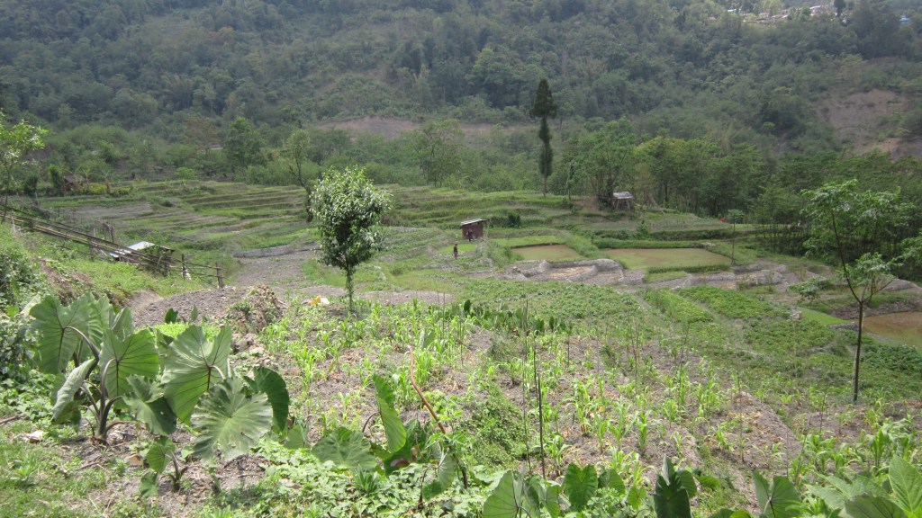 The Heritage and Ecology of Jhum Cultivation – Life and Living